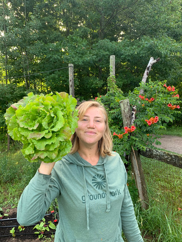 Community Supported Share | The Lively Farm