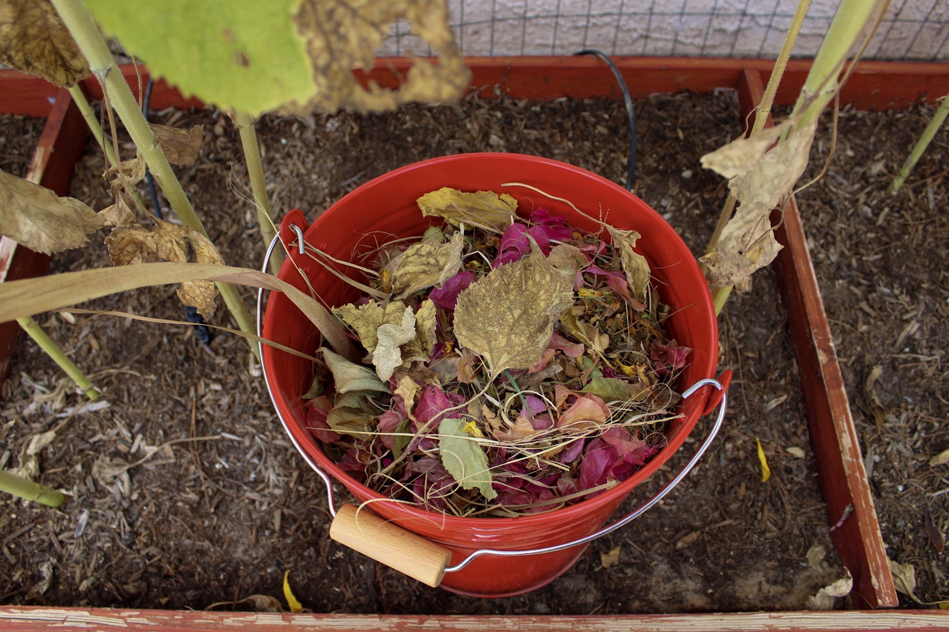 Composting is Simple, Learn the Basics