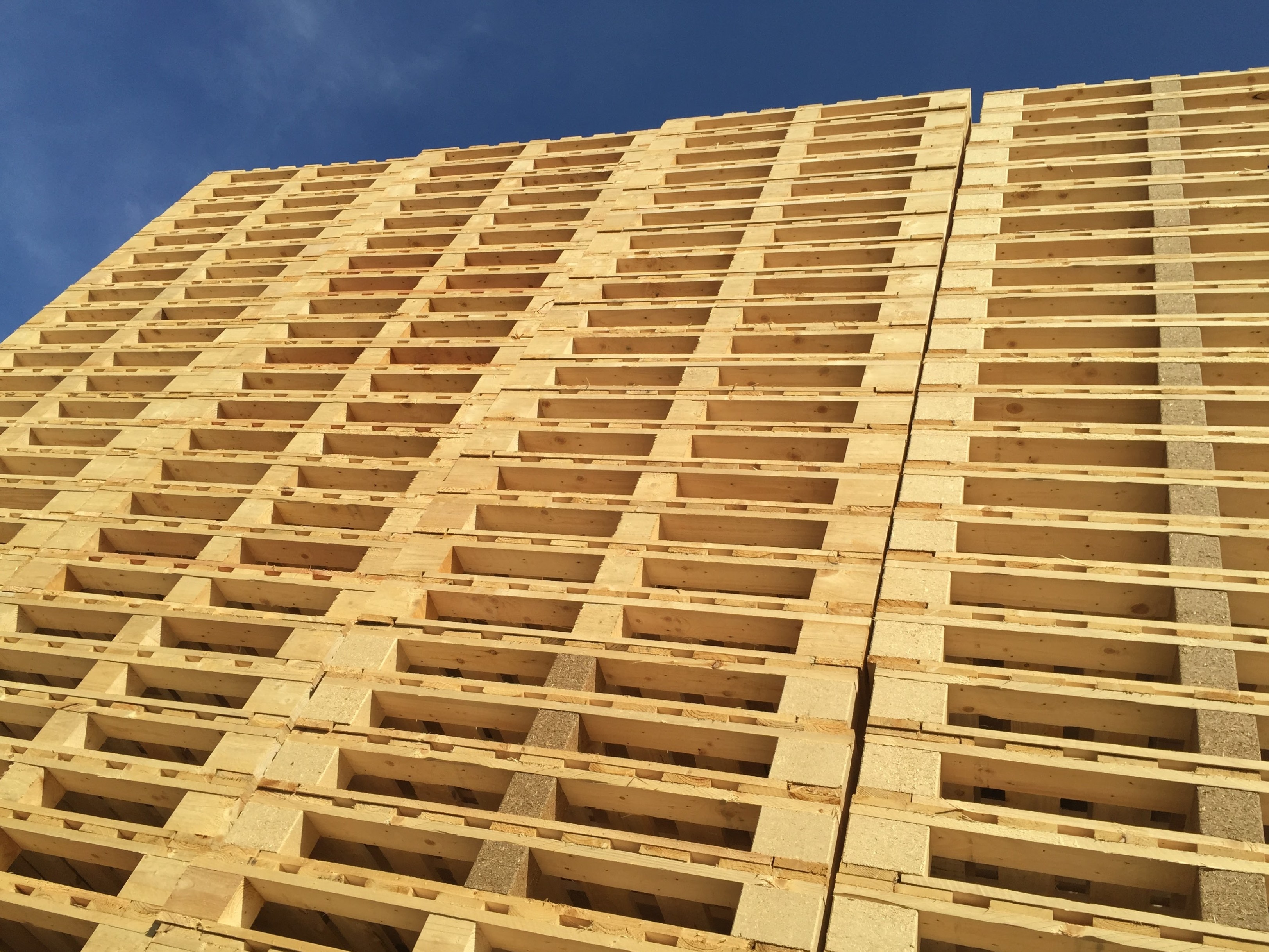 Pallet Types | ipts