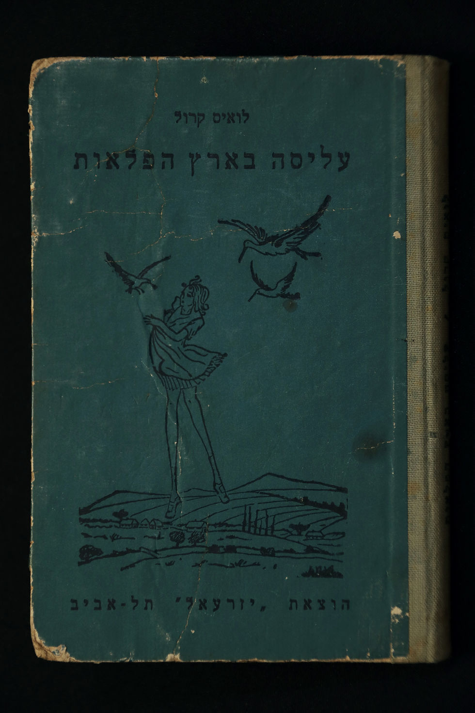 Vintage Hebrew | Alice in Wonderland books