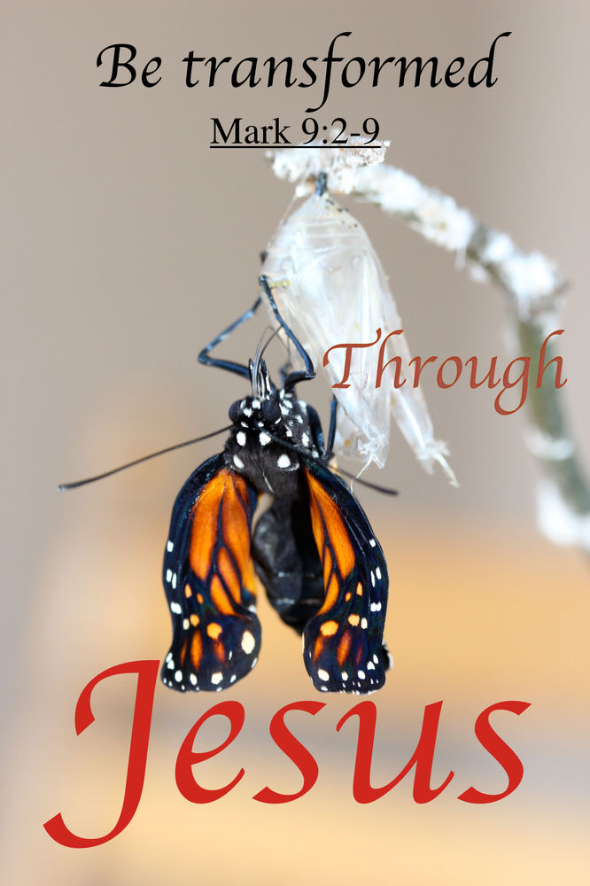 Be Transformed by Jesus