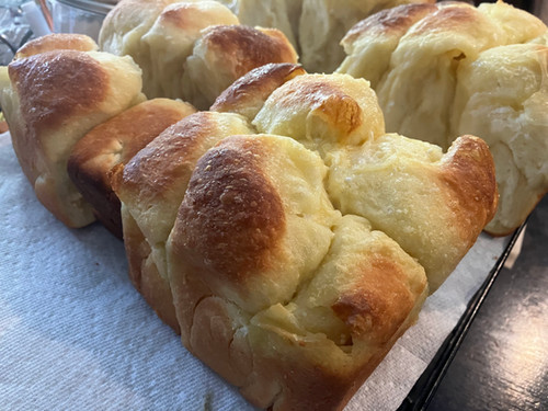 Hotel Bread - Dinner Rolls | Sweet On You