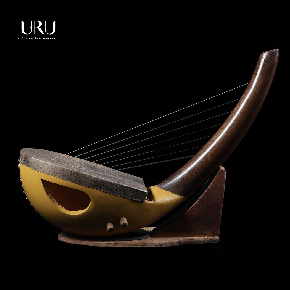 HOME | urucustominstruments