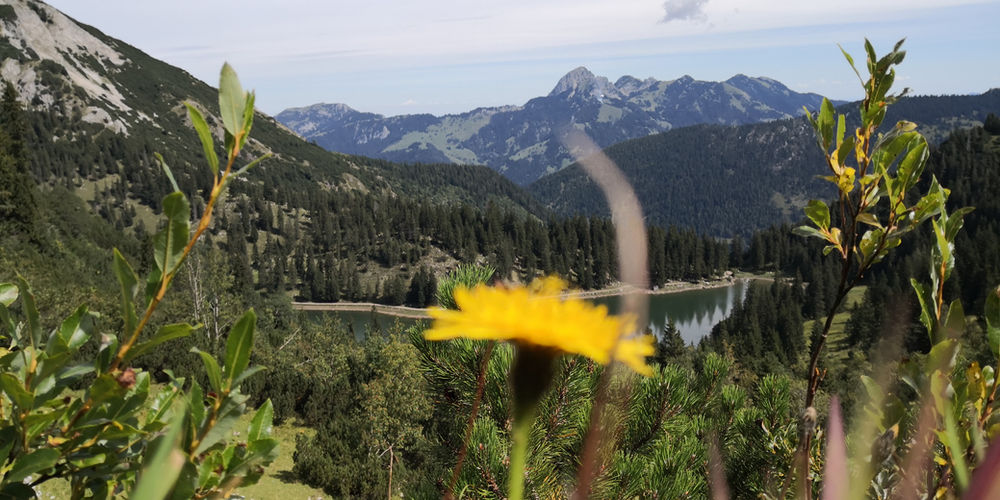Auf die Rotwand und um den Soinsee