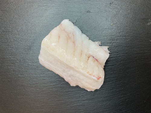 Monkfish portions ( Lophius piscatorius) 1 portion | Steviefish.com