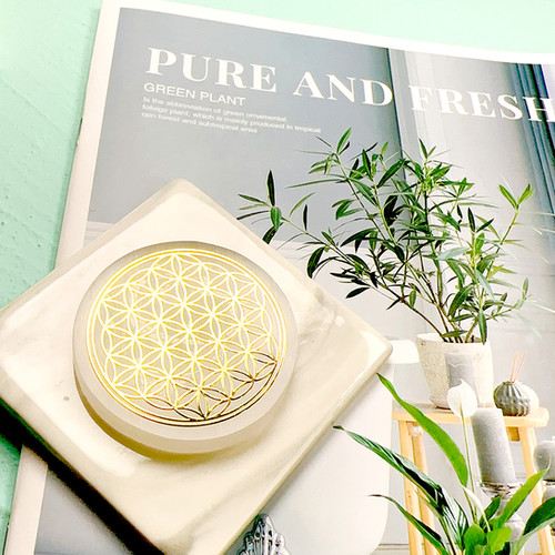 Flower Of Life Selenite Charger Disc Round Wahfengshui