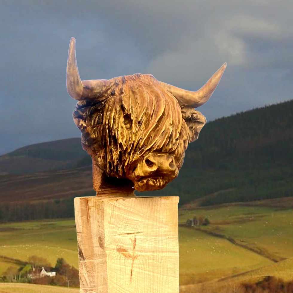 Highland Cow Bust Wood Sculpture | Zenwooddesign