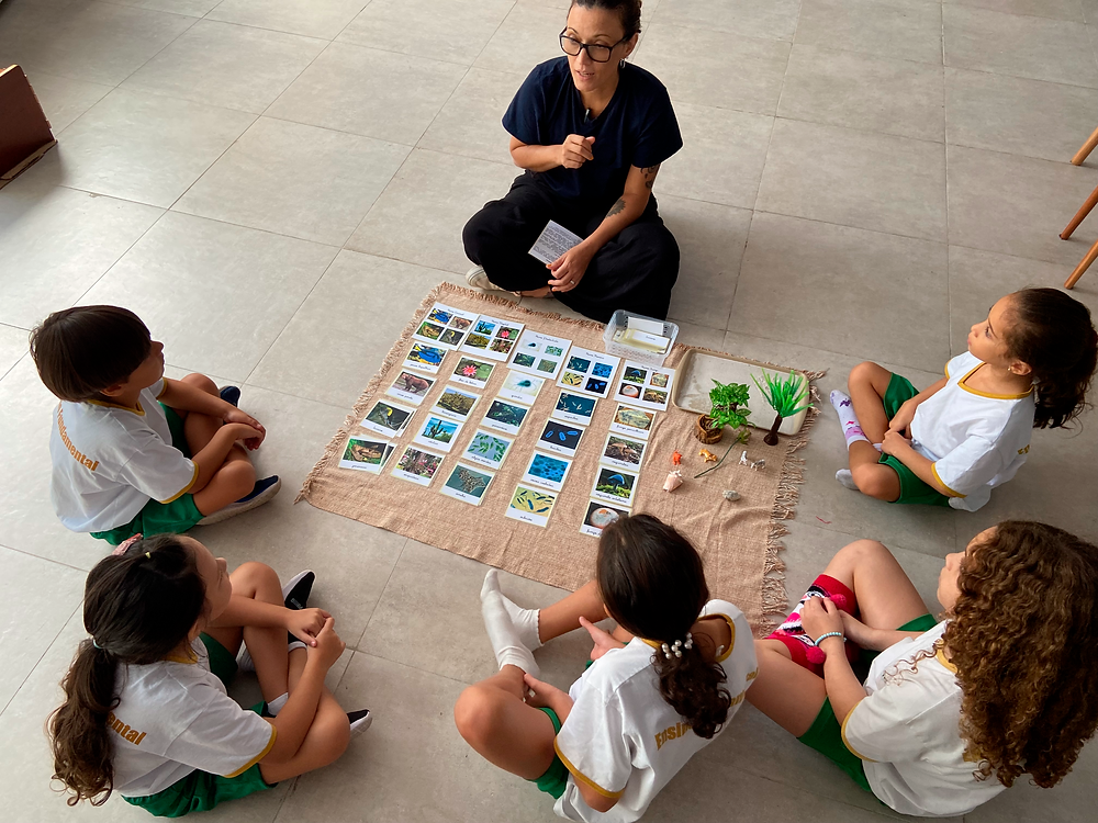 Qual o Papel do Professor Montessoriano na Educação Infantil?