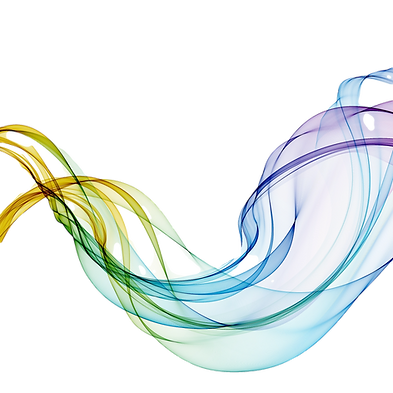 Bloom Yoga Studio | Yoga Classes Online and in Chicago