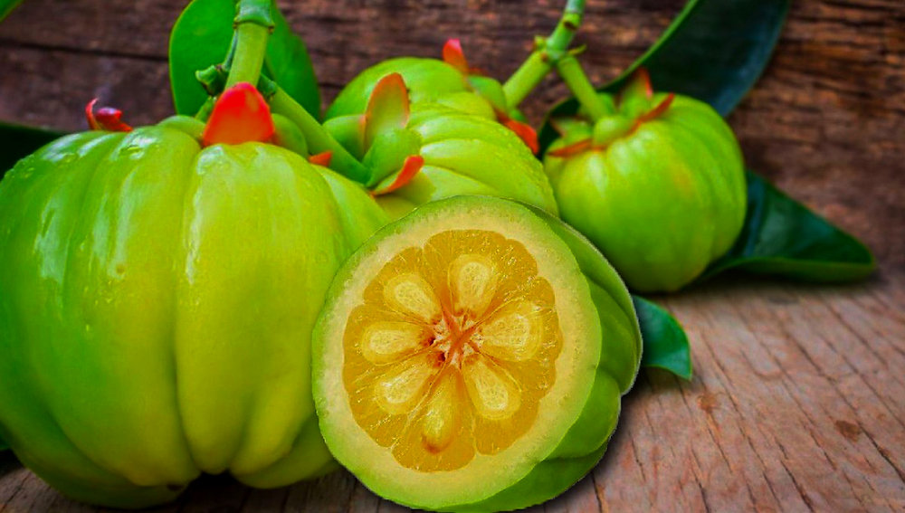 Descubre los beneficios de la Garcinia Cambogia: El suplemento natural ...