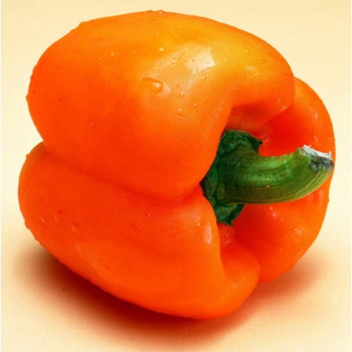 Capsicum Orange | Biocarve Seeds