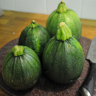 Squash Globe Round Green | Biocarve Seeds