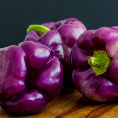 Capsicum Purple | Biocarve Seeds