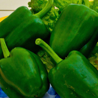 Capsicum Green | Biocarve Seeds