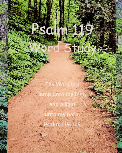 Psalm 119 Word Study | Armored in Truth