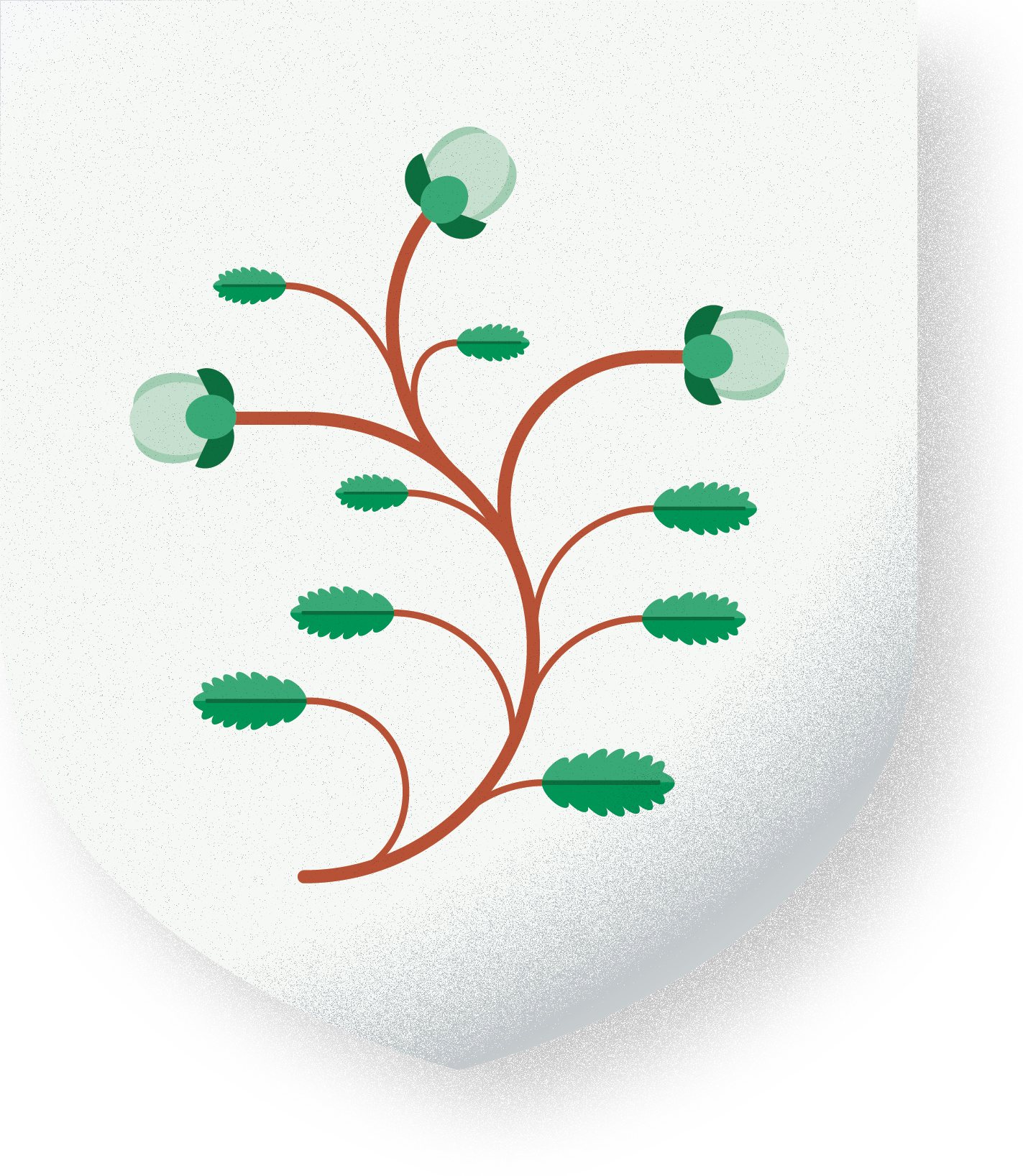 BAJADA / BAJJADA | Kunjom.com