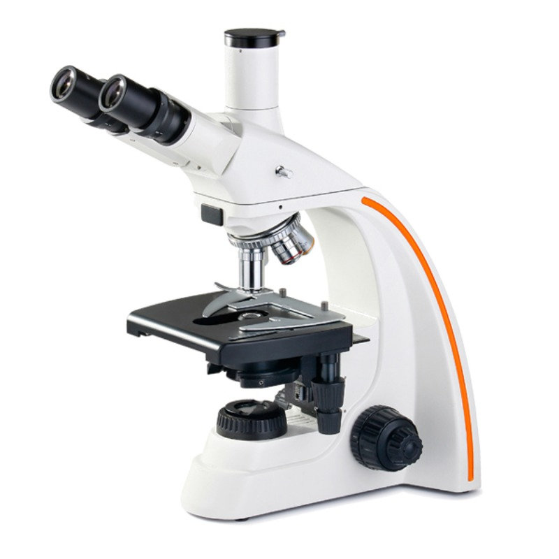 Upright Biological Microscope L2800