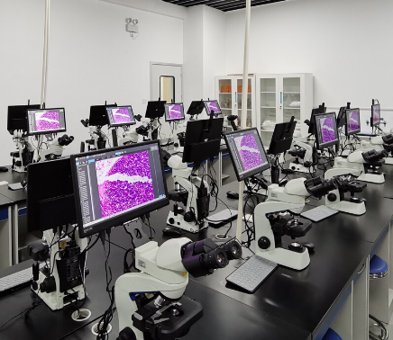 Micoscope Camera | Lanoptik Technologies