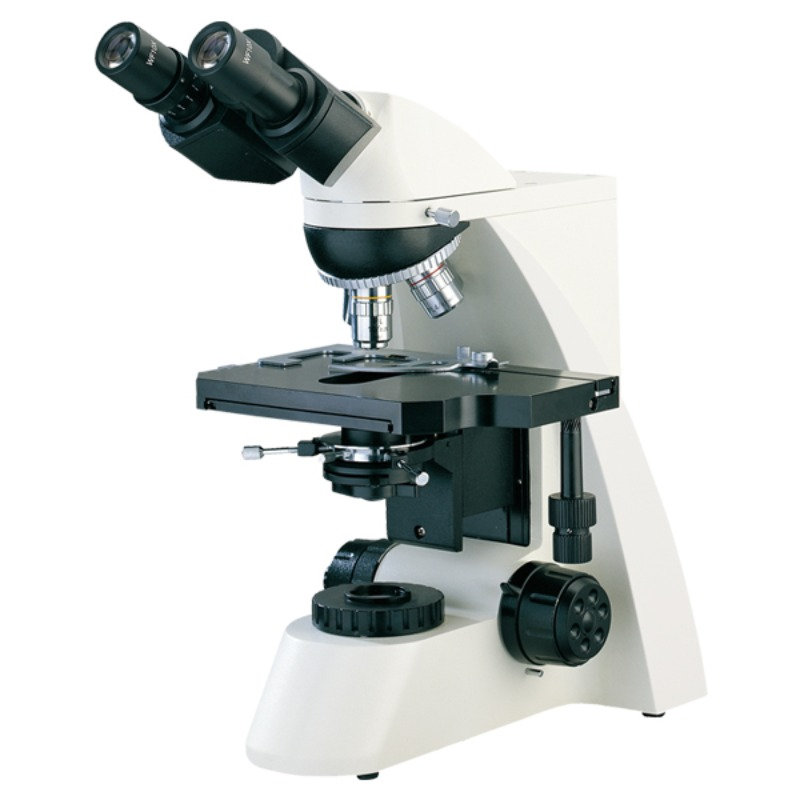 Upright Biological Microscope L3000