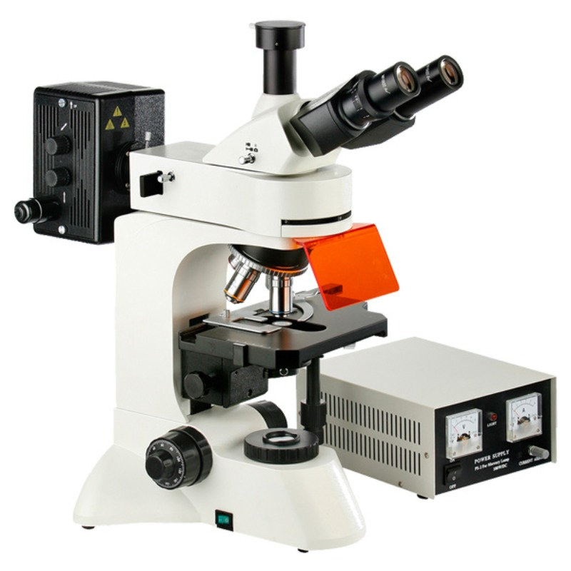 Upright Fluorescence Microscope L3201