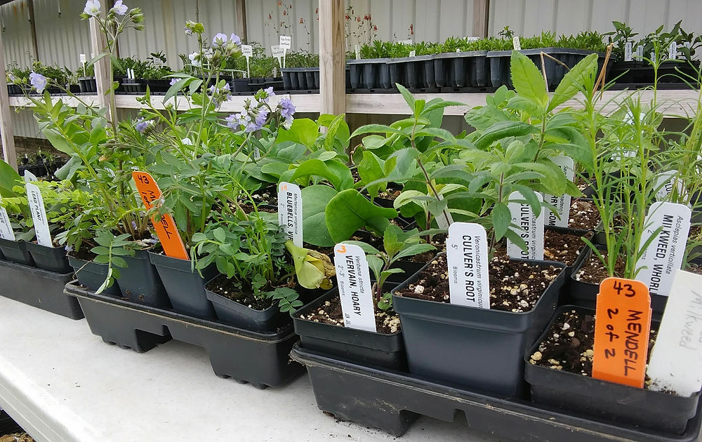 Schedule Appointment | Local Native Plants