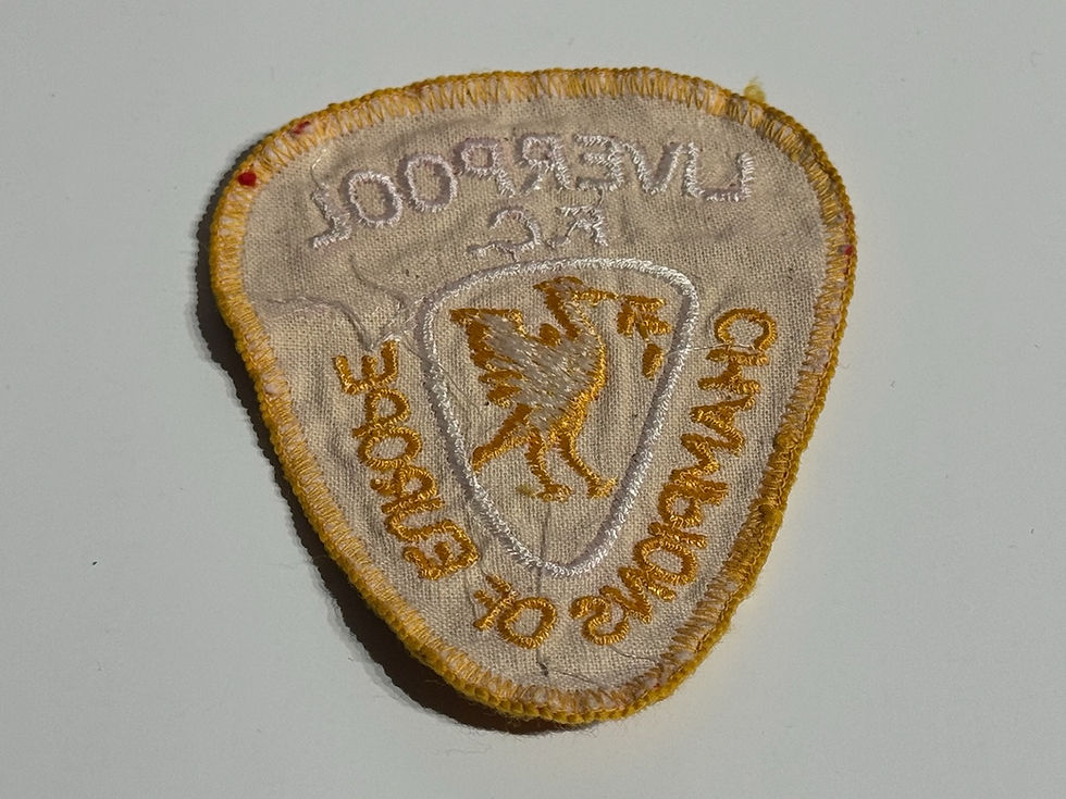 Vintage Football Badges For Sale| TheTreasureTrench