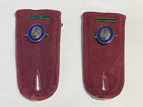 Set of Nursing Council of South Africa Silver Badges on Original ...