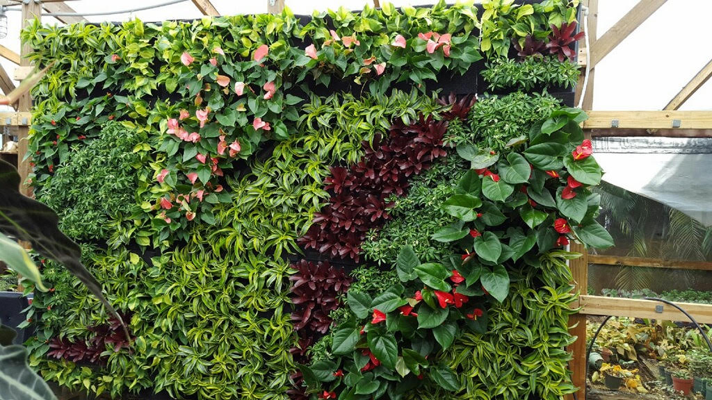 Miami Vertical Gargen and Green Living Walls: Hydroponic System