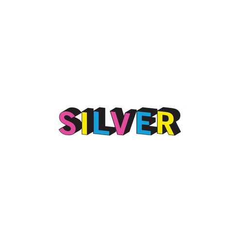 Silver Skate Shop Logo DieCut Sticker | silverskateshop