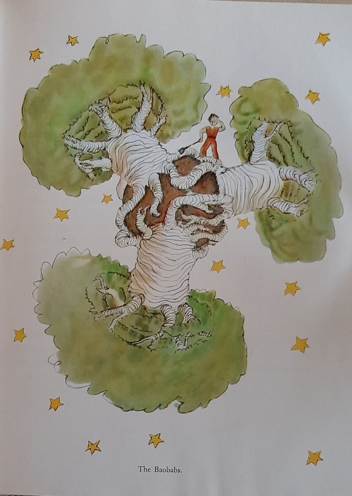 Aged and Ageless: How to Be Like a Tree