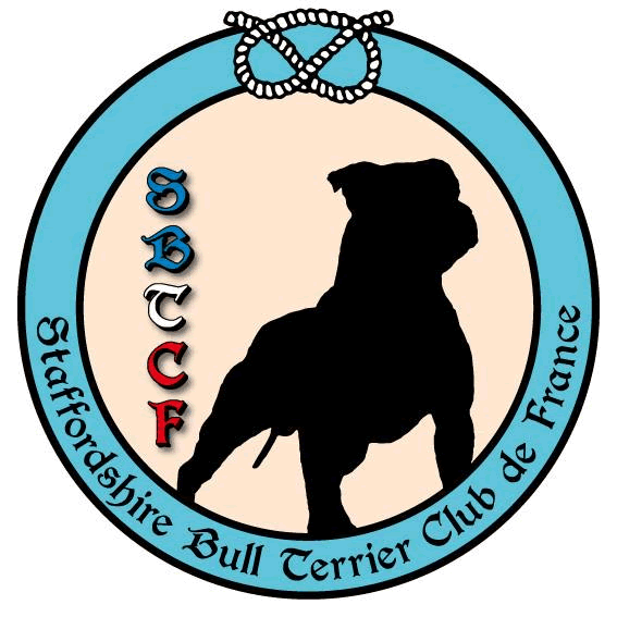 Staffordshire Bull Terrier Club de France