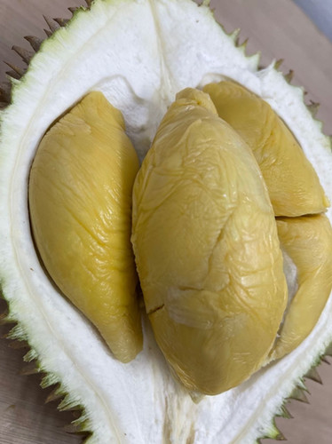 XO D24 (Creamy, Bittersweet) – ($20/kg) | Fresh Durian