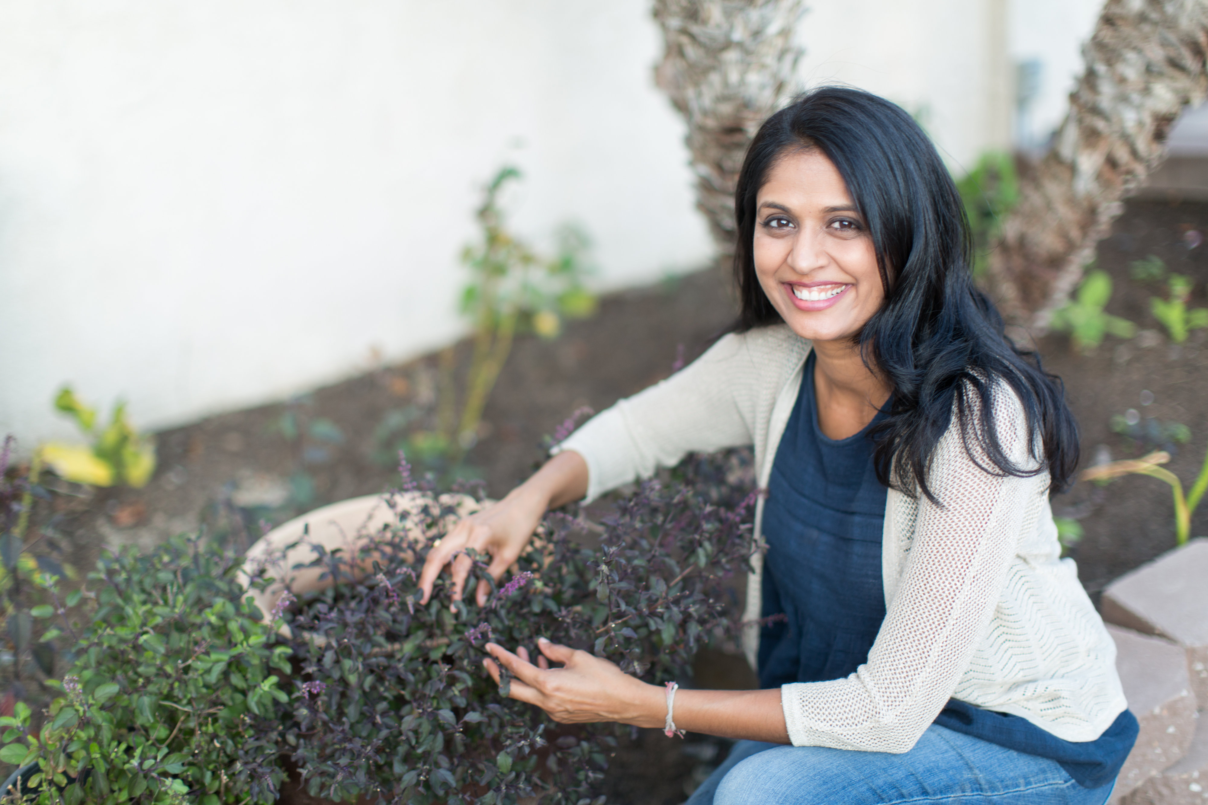 TULSI — THE WONDER HERB