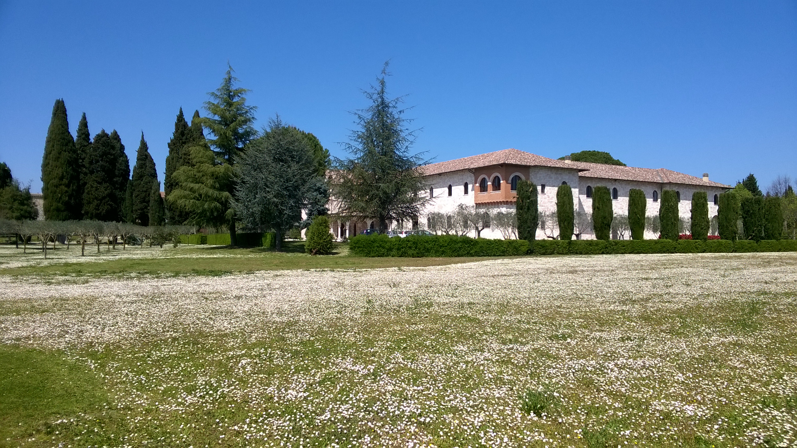 DOMUS MADONNA DELLE ROSE