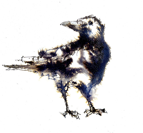 Watchful Crow - Ink and watercolour - Limited Edition Print ...