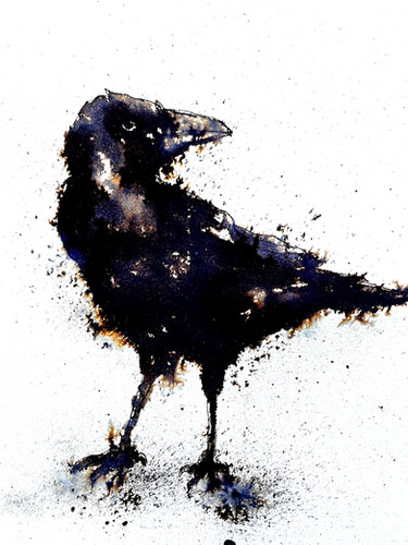 Ink Crow - Ink and watercolour - Limited Edition Print | TheSuburbanArtist