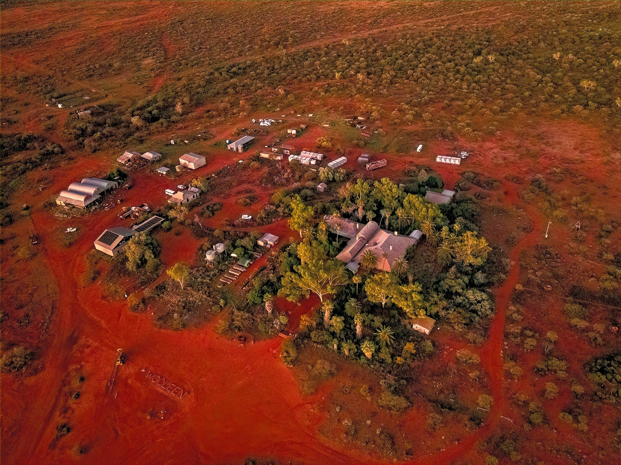 WOOLEEN STATION | Shelley Pearson Bird & Wildlife Photography