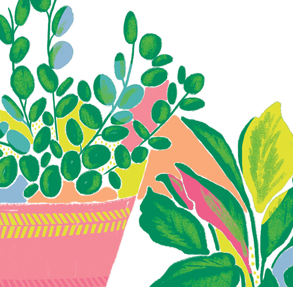 Megan Carter Surface Pattern Designer | megancarterpatterns