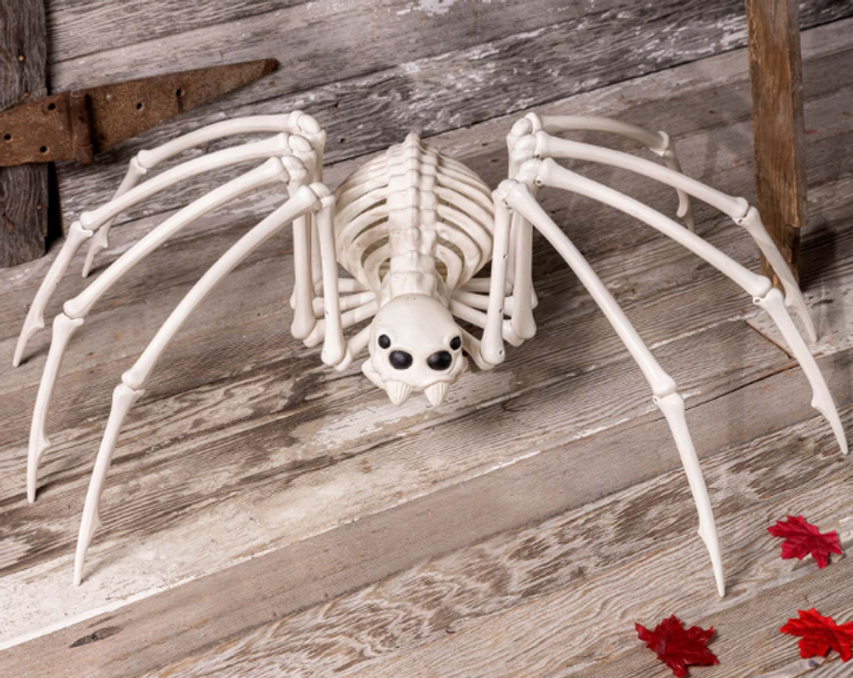 Why does skeleton spiders Halloween decoration exist?