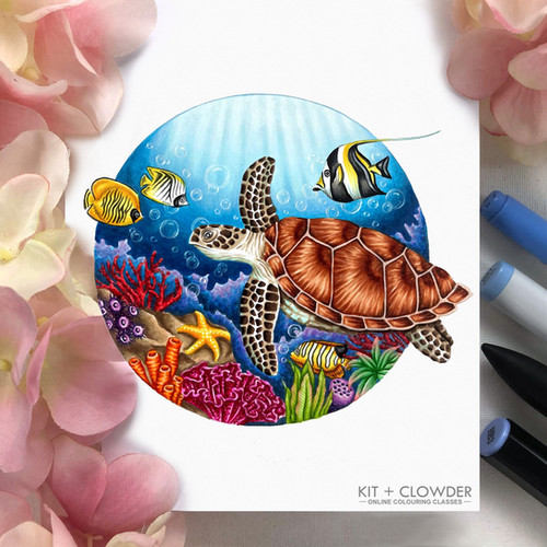 Reef Wonders Markers | Kit and Clowder