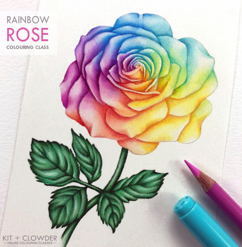 Rainbow Rose Project | Kit and Clowder