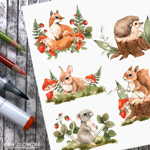 Woodland Digital Image Pack | Kit and Clowder