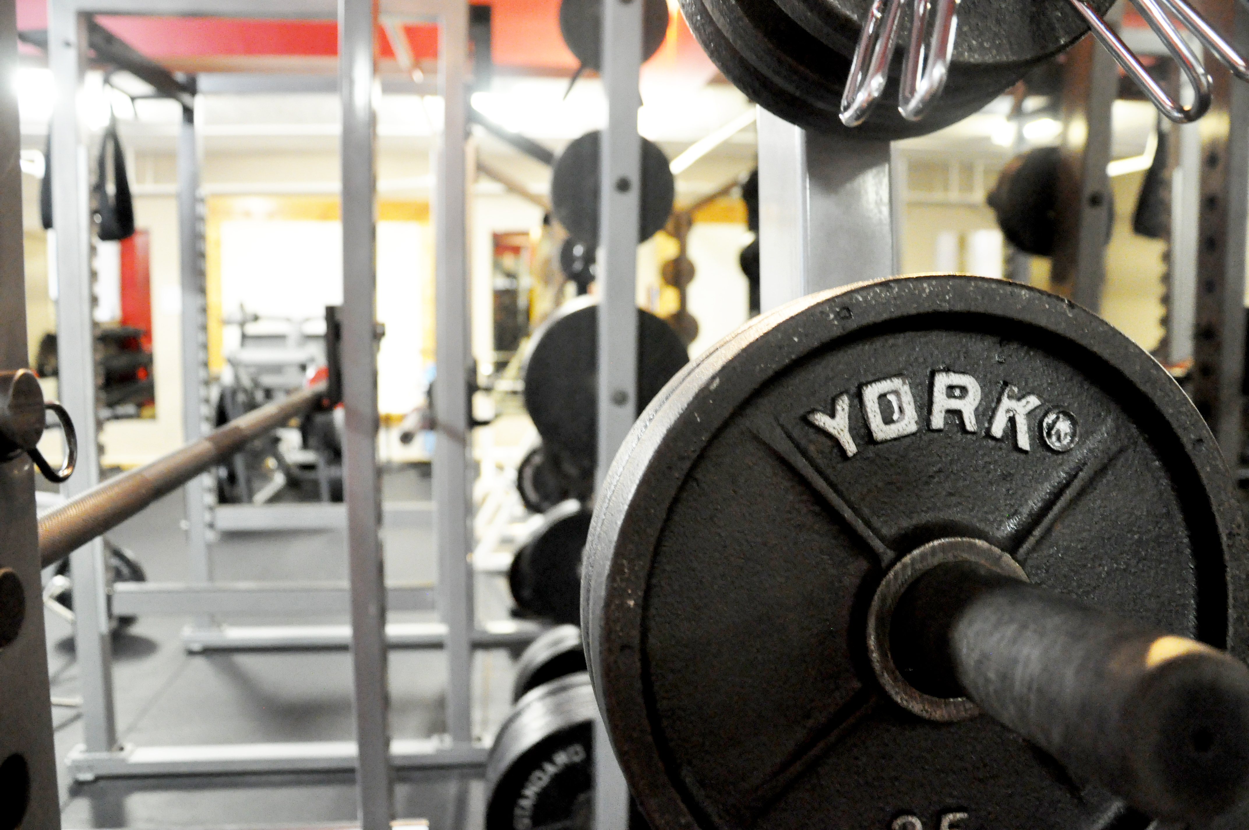 The Gym | infit
