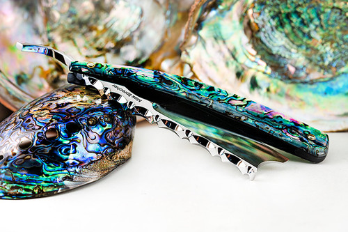 9/8・Spanish Point・Abalone | maxsprecher