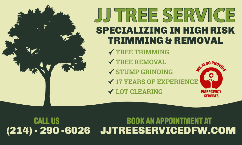 Free Tree Removal Estimates | Jj Tree Service DFW
