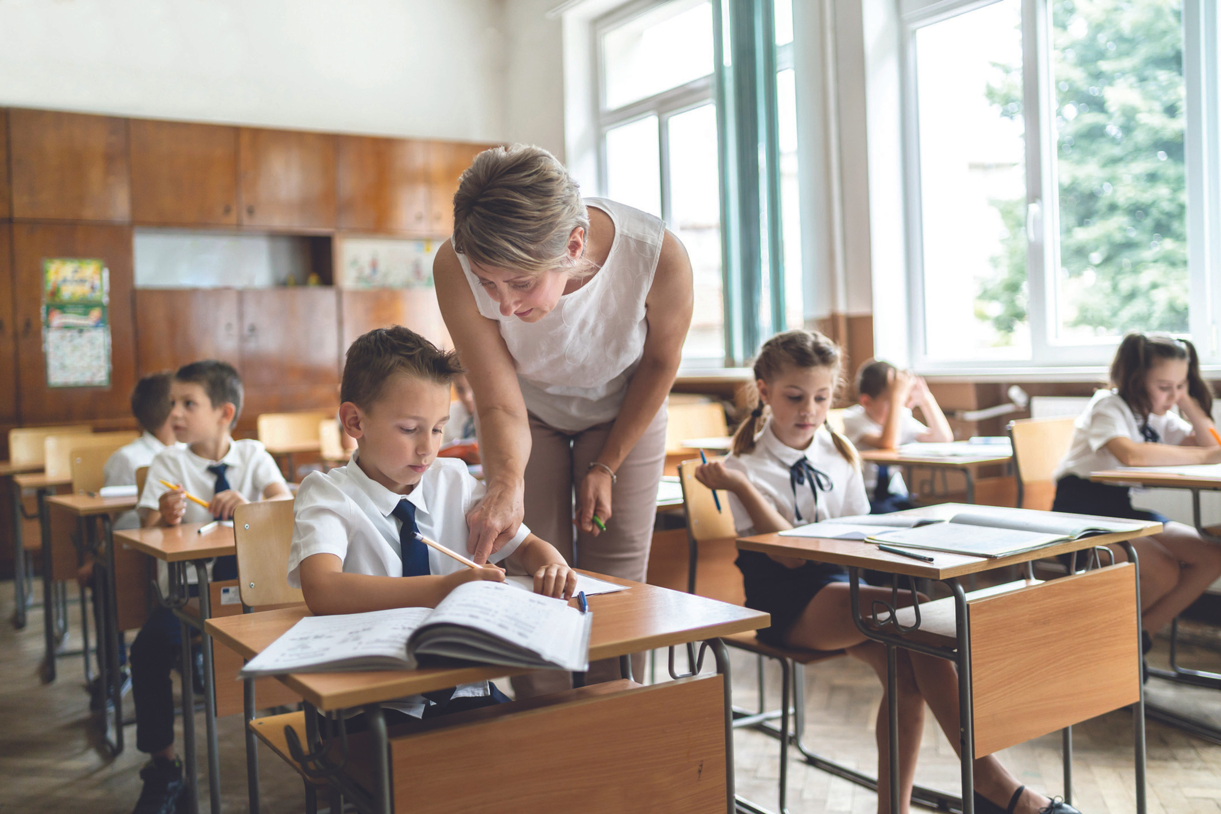 Support | Catholic Textbook Project