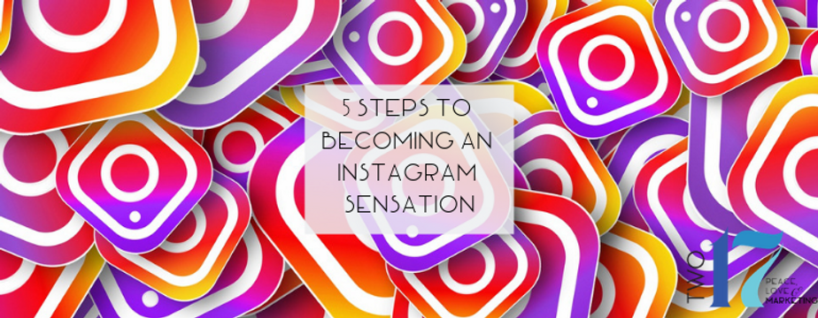 5 Steps To Becoming an Instagram Sensation