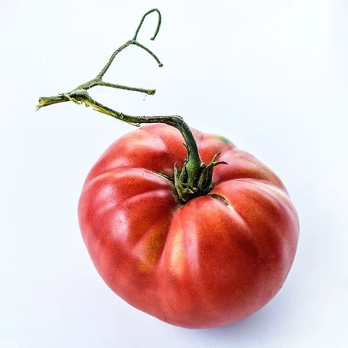 Millionaire | Tomato Monster