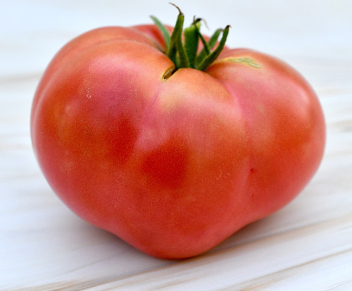 Dester | Tomato Monster