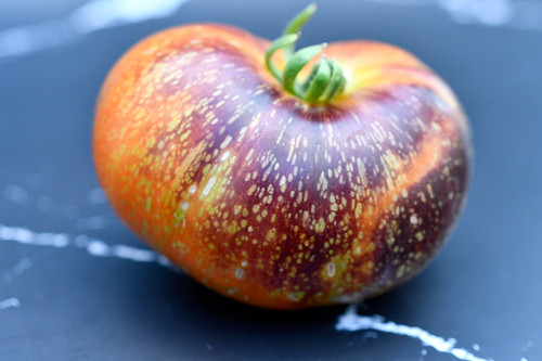 Dark Galaxy | Tomato Monster